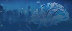 GS1 Data Exchange SRL